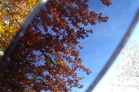 How To Remove Tint From Prescription Sunglasses Sunglass Selector