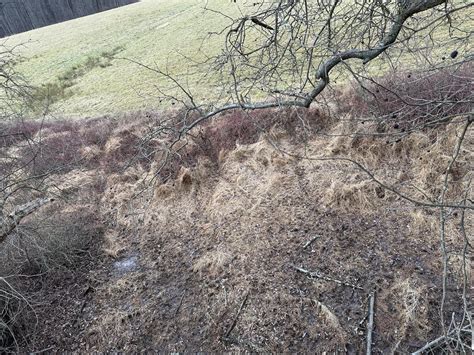 Last Day Of The Year In 5cfirst Time Hunting This Wmu Praying For