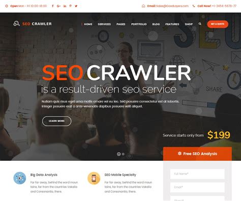 10 Best Wordpress Theme For Seo Copmany 2019 Radiustheme