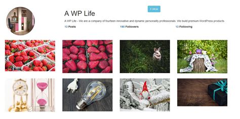 Free 15 Image Gallery Wordpress Plugin Photo Gallery Wp Plugins