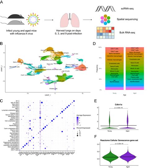 Single Cell Rna Sequencing Reveals Cellular Heterogeneity Among Young Download Scientific