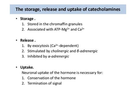 The Adrenal Gland Catecholamine Synthesis