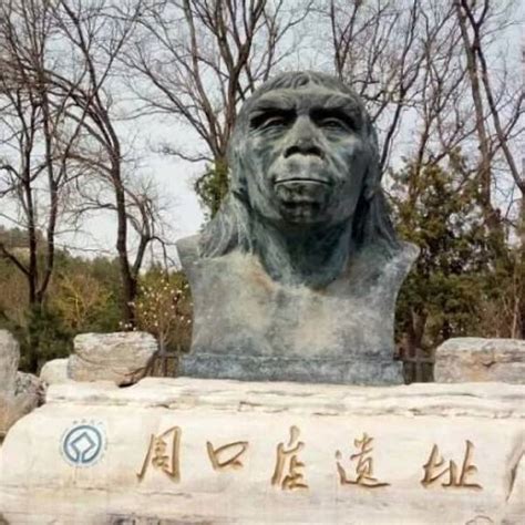 2024周口店北京人遗址博物馆门票北京周口店北京人遗址博物馆游玩攻略周口店北京人遗址博物馆游览攻略路线地址门票价格 【去哪儿攻略】