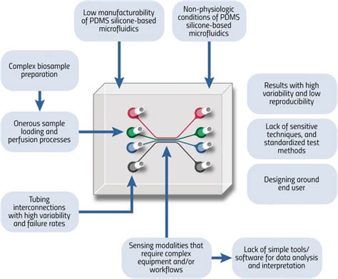 Next Generation Microfluidics Fulfilling The Promise Of Lab On A Chip