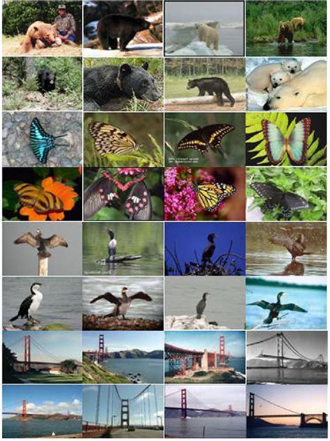 Figure 1 From Low Level Features For Image Retrieval Based On Extraction Of Directional Binary