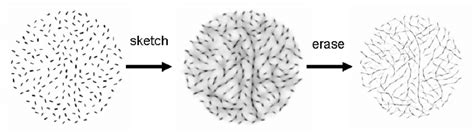 The Sections 1 2 3 4 6 8 Provide The Theory For Automatic Download Scientific Diagram