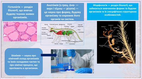 Урок 2 НУШ 7клас Біологія