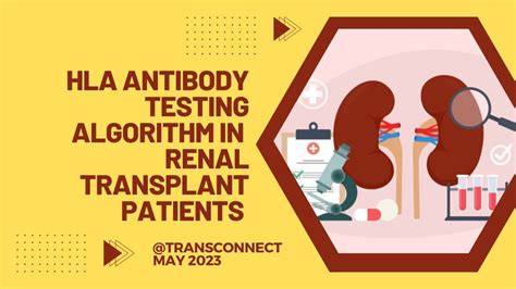 Hla Antibody Testing Algorithm In Renal Transplant Patients Episode 30