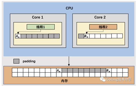 cpu缓存体系对程序的影响 golang编程语言知识介绍