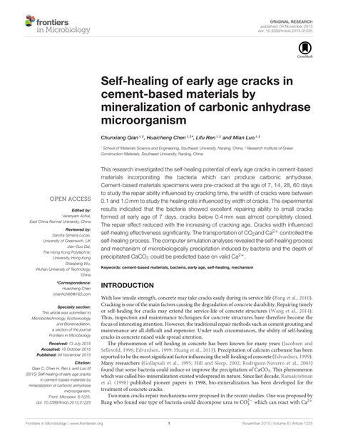 Pdf Self Healing Of Early Age Cracks In Cement Based Materials By