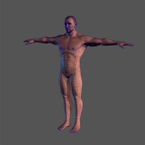 Animated Naked Man Rigged D Game Character Low Poly D Model D File For Cults