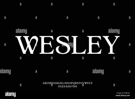 Elegant Luxury Decorative Serif Alphabet Display Font Vector Illustration Stock Vector Image