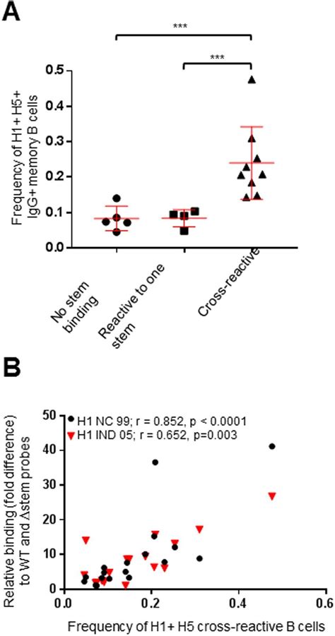 Correlation Of IgG Memory B Cells Cross Reactivity And Sera Stem Download Scientific Diagram
