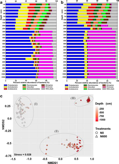 Taxonomic Composition Of The Dominant Bacterial Phyla In The N0 A And Download Scientific