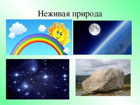 Живая и неживая природа 1 класс конспект урока Конспект урока в 1 классе Живая и неживая природа
