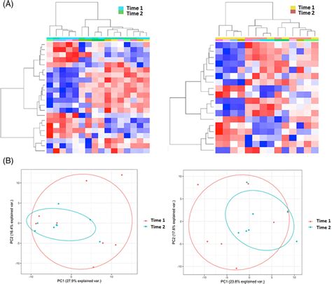 Hierarchical Cluster Analysis A And Principal Component Analysis B