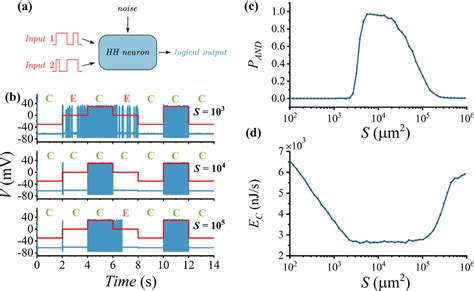 a schematic representation of logical stochastic resonance in hh