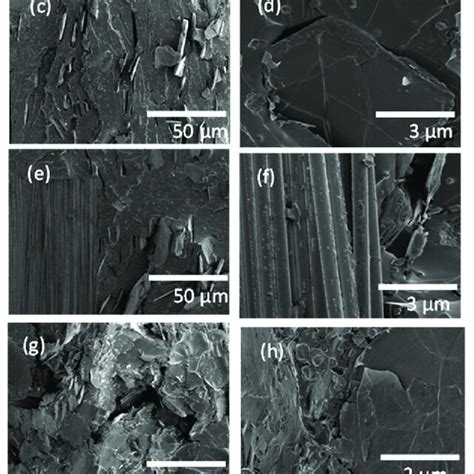 Sem Micrograph Surface At Two Different Magnifications 50 K Left And