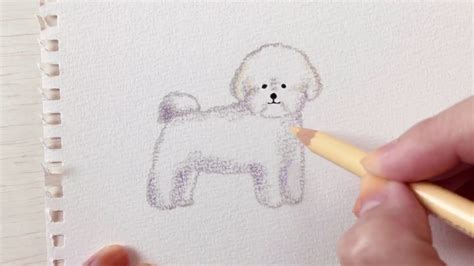 색연필로 비숑 프리제 강아지 손그림 일러스트 그리기 Colored Pencil Drawing Hands Youtube