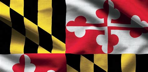 Umgc Overview Fy2024 By University Of Maryland Global Campus Issuu