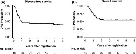 Disease‐free Survival Dfs And Overall Survival Os Of Aml Patients Download Scientific