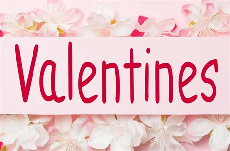 Memory Regular Premium Font