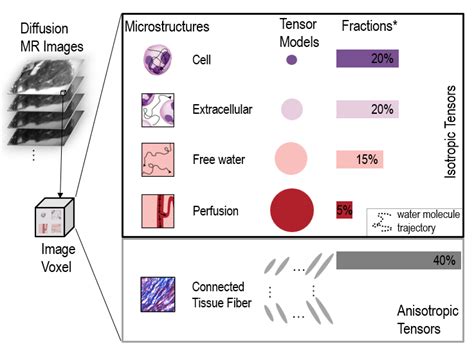 Projects Center For Reproductive Health Sciences