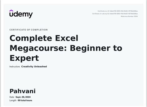 Excel Dataanalysis Continuouslearning Professionalgrowth Pahvani