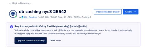 How To Convert Caching Databases To Valkey Digitalocean Documentation