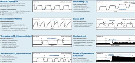 Oxygenation Flashcards Quizlet