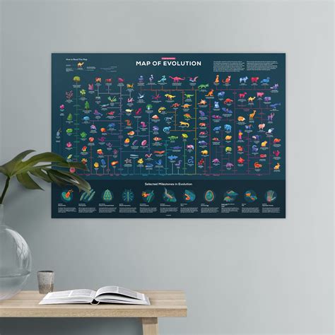 Map Of Evolution Poster Thoroughly Researched The Kurzgesagt Shop