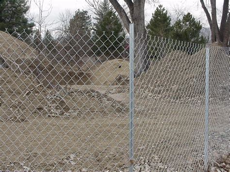 Tree Root Damage Caused By Construction Project