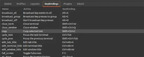 Installing And Using Terminator Terminal On Ubuntu