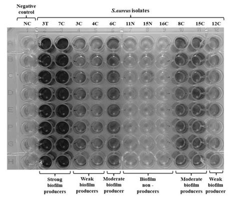 Pathogens An Open Access Journal From MDPI