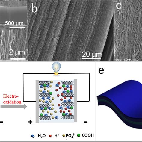 A Sem Image Of 600 μm Thick Vertically Aligned Cnt Arrays Inset And Download Scientific
