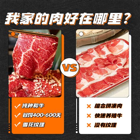 肉类海报PPT模板 肉类海报PPT在线设计制作 稿定设计