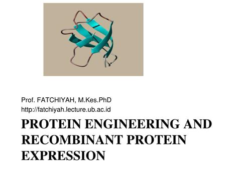 Ppt Protein Engineering And Recombinant Protein Expression Powerpoint Presentation Id4752981