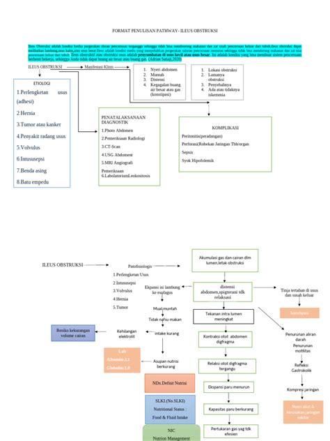 Format Penulisan Pathway Sesuai Sdki Siki Slki Pdf