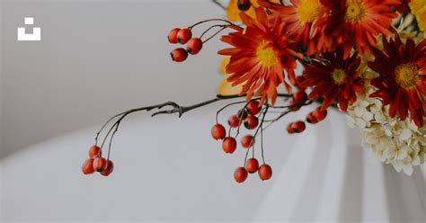 빨간색과 노란색 꽃으로 가득 찬 흰색 꽃병 사진 Unsplash의 무료 꽃 이미지