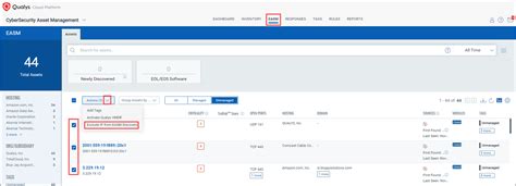 Excluding IP Addresses From The EASM Discovery