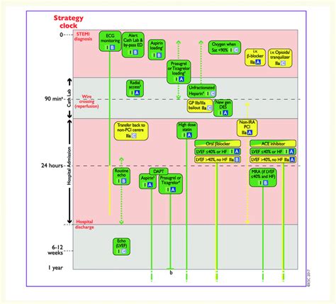 Do Not Forget Interventions In Stemi Patients Undergoing A Primary