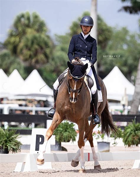 Home Bred Unicorn Quintessential Is A Keeper For Ellesse Gundersen