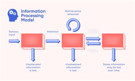 Parallel Processing Psychology
