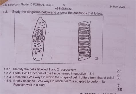 SOLVED Life Sciences Grade 10 FORMAL Task 3 5 ASSIGNMENT 24 MAY 2023