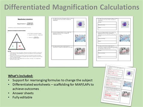 Magnification Calculations Worksheet Teaching Resources