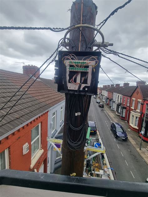 Lee Soderberg On Linkedin 20 Drop Hollow To Wood Cut Down All The Dead Only Putting The Live Ones…