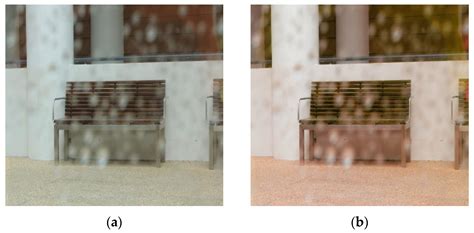 Rainwater Removal Image Conversion Learning With Training Pair Augmentation