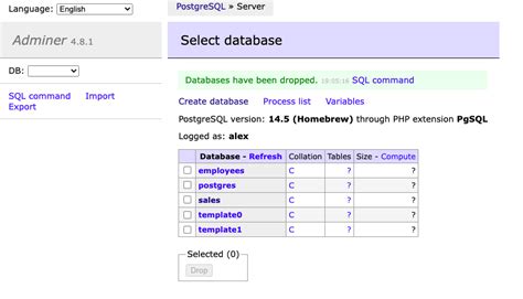 A Guide To Creating Databases With Postgres Kinsta®