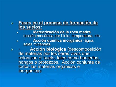 Suelo Factores De Formacion De Sueloppt