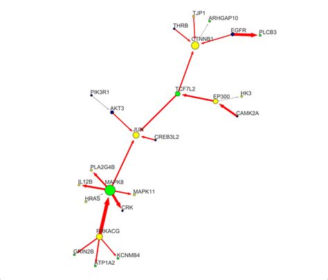 Essential Node Sub Network Node Essentiality Is Determined By Download Scientific Diagram